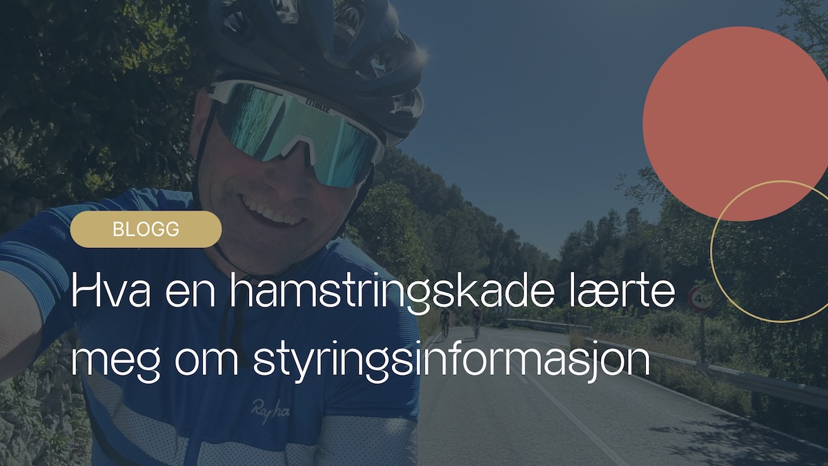 SEMINE AI-plattform fra Arribatec